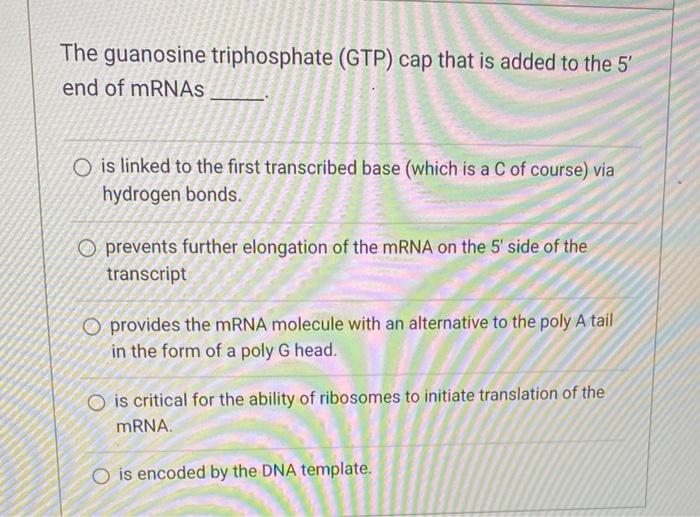 Solved The guanosine triphosphate (GTP) cap that is added to | Chegg.com