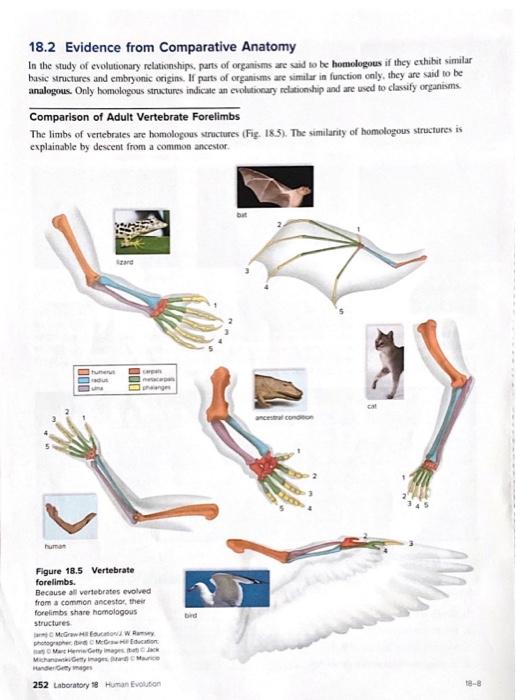 Solved 18.2 Evidence from Comparative Anatomy In the study | Chegg.com