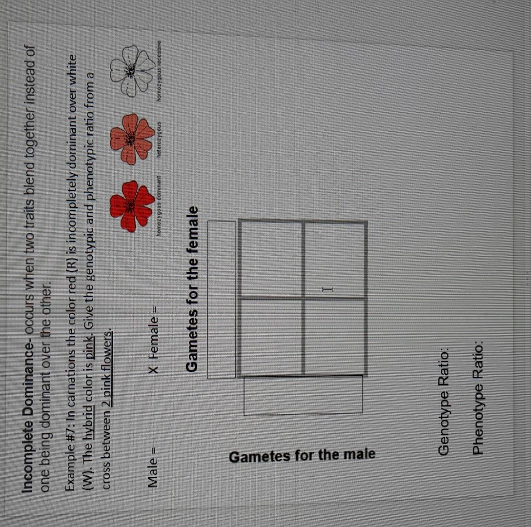 Solved Incomplete Dominance- occurs when two traits blend | Chegg.com