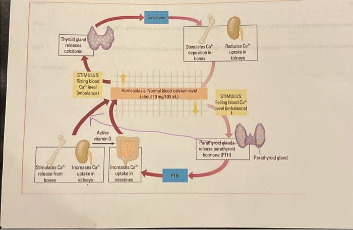 Solved Region, or rearrange the diagram to represent the | Chegg.com