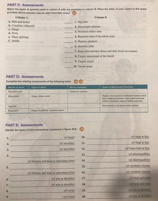 Solved PART : Assessments Match the types of synovial joints | Chegg.com