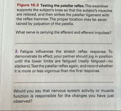 Solved Figure 16.3 ﻿Testing the patellar reflex. The | Chegg.com