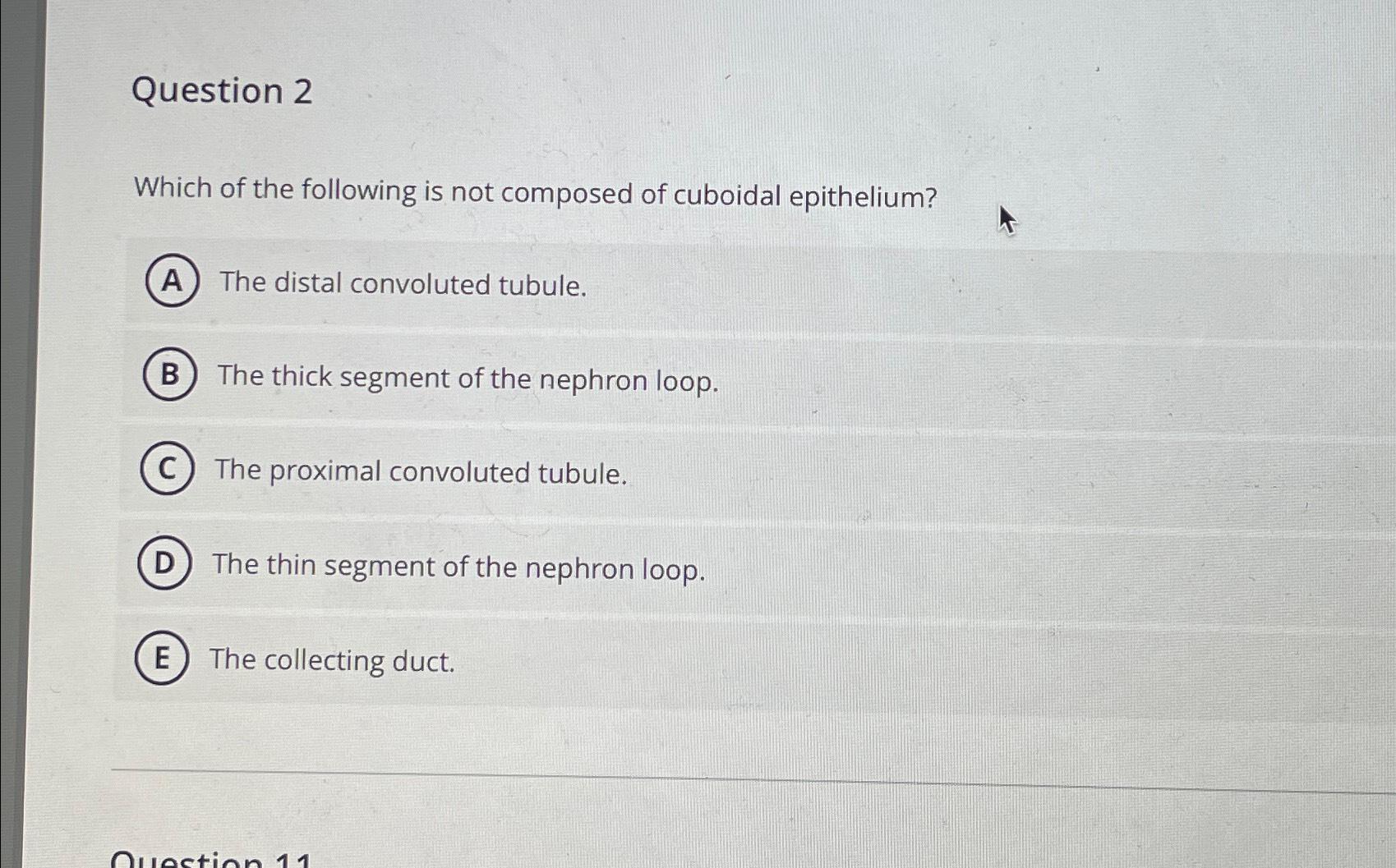 Solved Question 2Which of the following is not composed of | Chegg.com