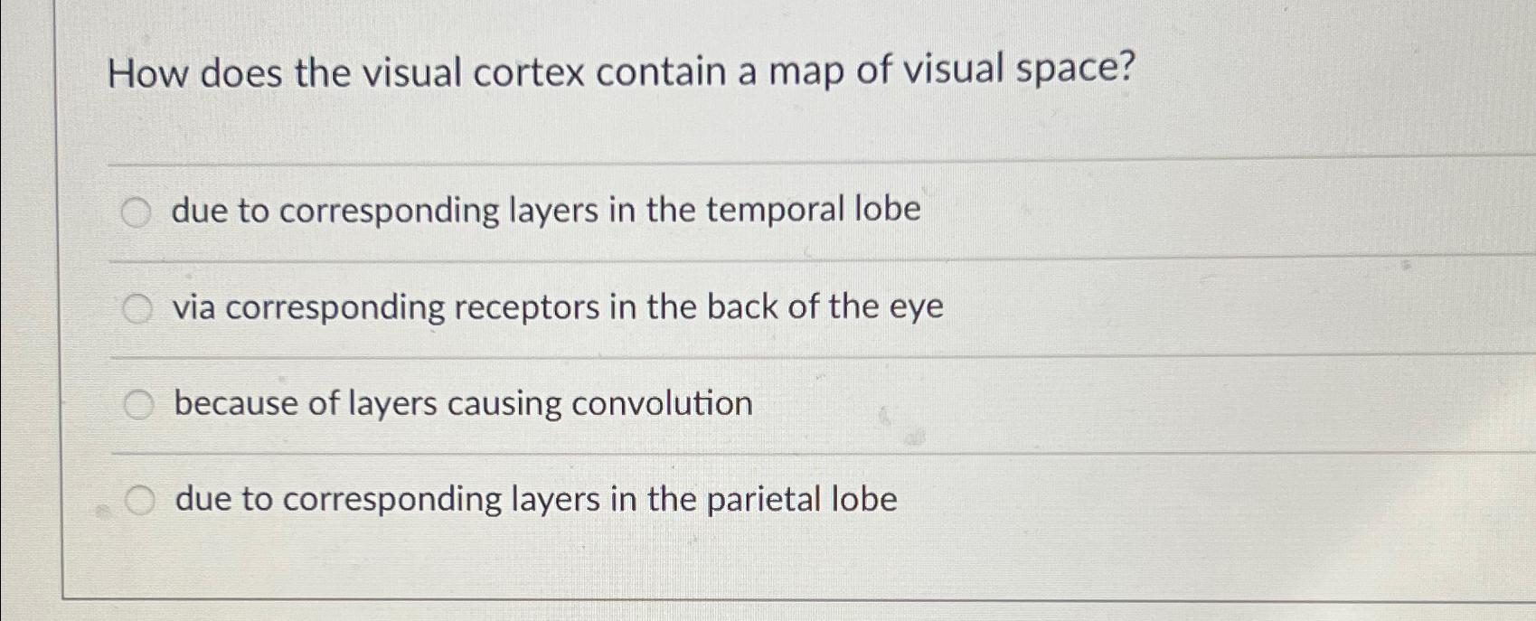 Solved How does the visual cortex contain a map of visual | Chegg.com