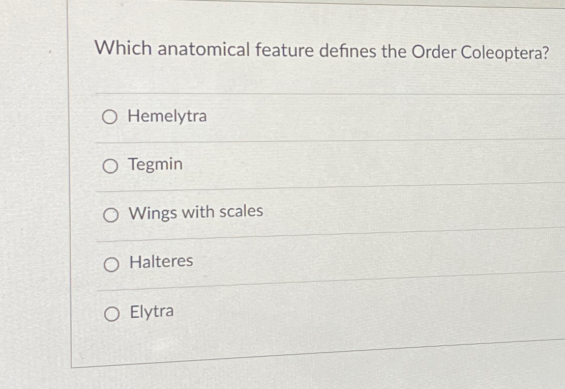 Solved Which anatomical feature defines the Order | Chegg.com