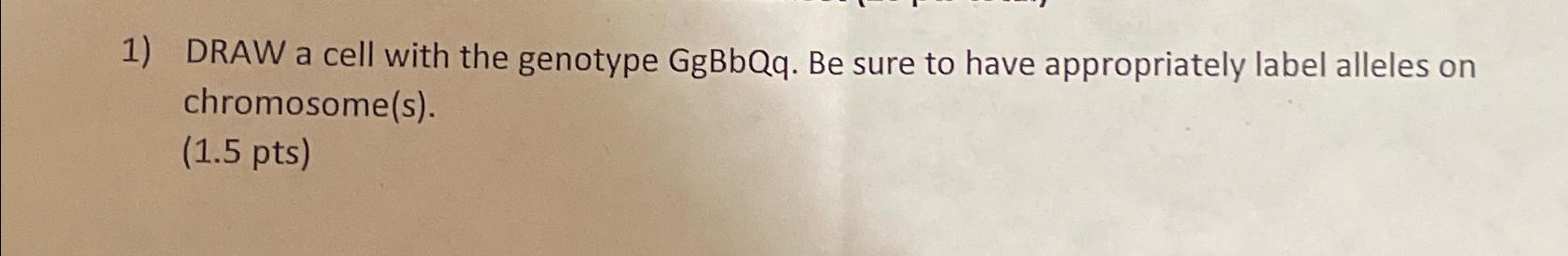 Solved DRAW a cell with the genotype GgBbQq. ﻿Be sure to | Chegg.com