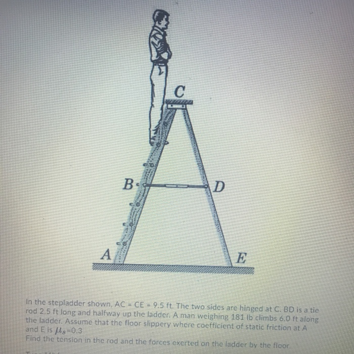 Solved In the stepladder shown, AC = CE - 9.5 ft. The two | Chegg.com