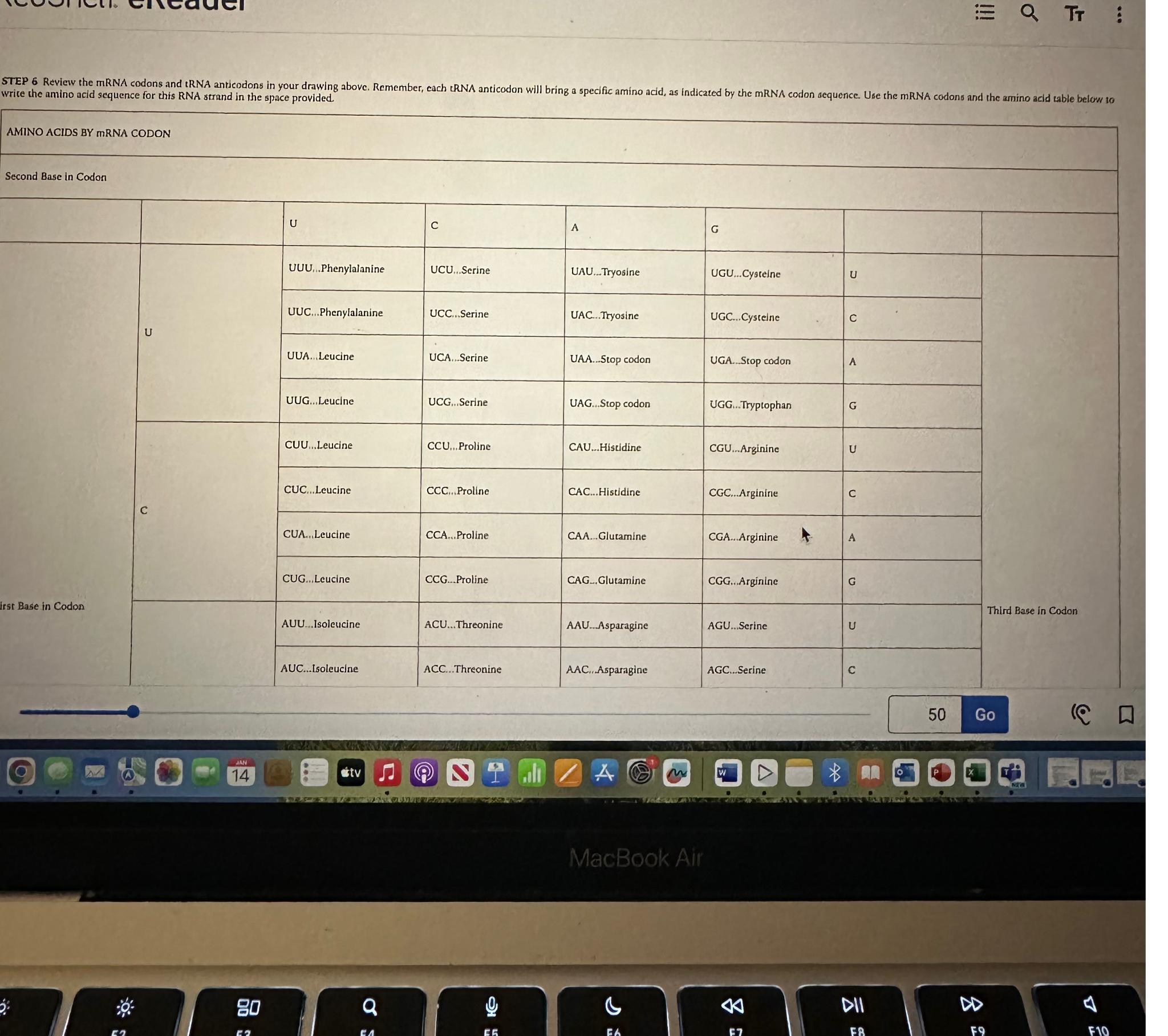 write the amino acid sequence for this RNA strand in | Chegg.com