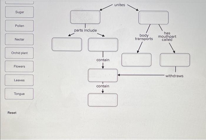 Solved Complete the concept map using the terms and phrases | Chegg.com