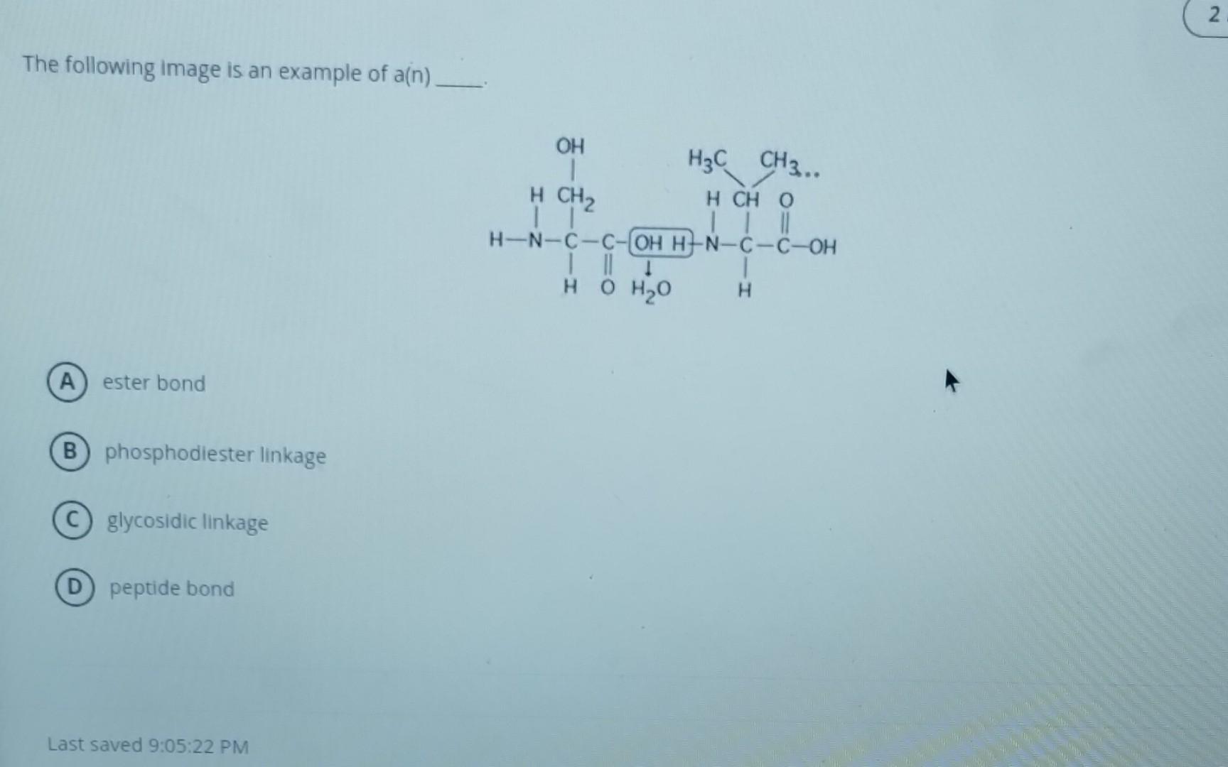 Solved The following image is an example of a(n) ester bond | Chegg.com