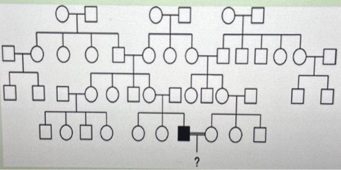 The pedigree is for a rare x linked recessive gene | Chegg.com