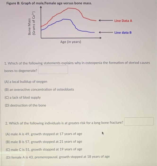 Solved The peak bone mass occurs approximately ten years | Chegg.com