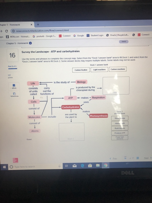 Solved hapter 5 - Homework x + → C newconnect. m | Chegg.com