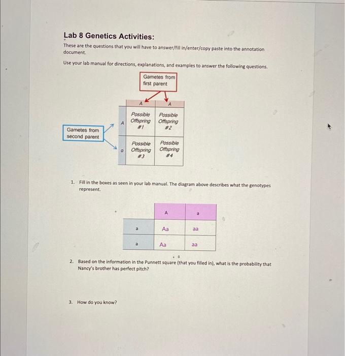 Lab 8 Genetics Activities: These are the questions | Chegg.com