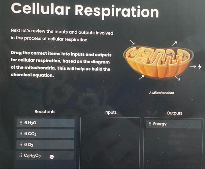 Solved Cellular Respiration Next let's review the inputs and | Chegg.com