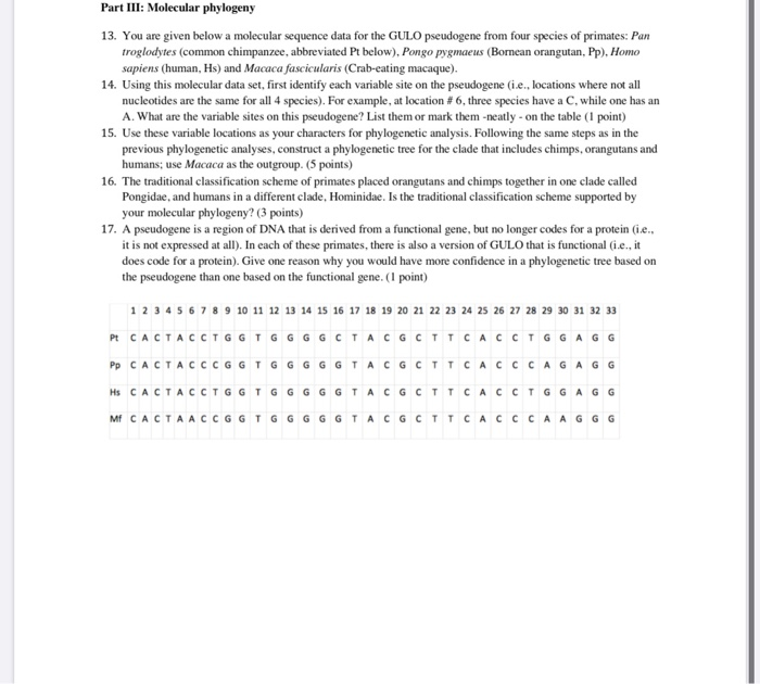 Solved Part III: Molecular phylogeny 13. You are given below | Chegg.com
