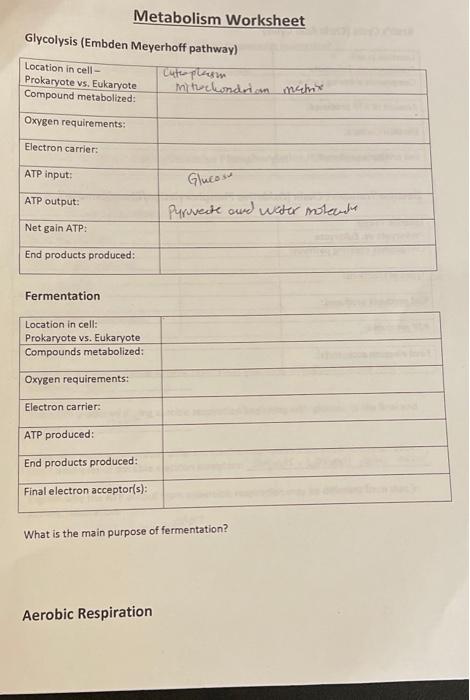 Solved Metabolism Worksheet Glycolysis (Embden Meyerhoff | Chegg.com