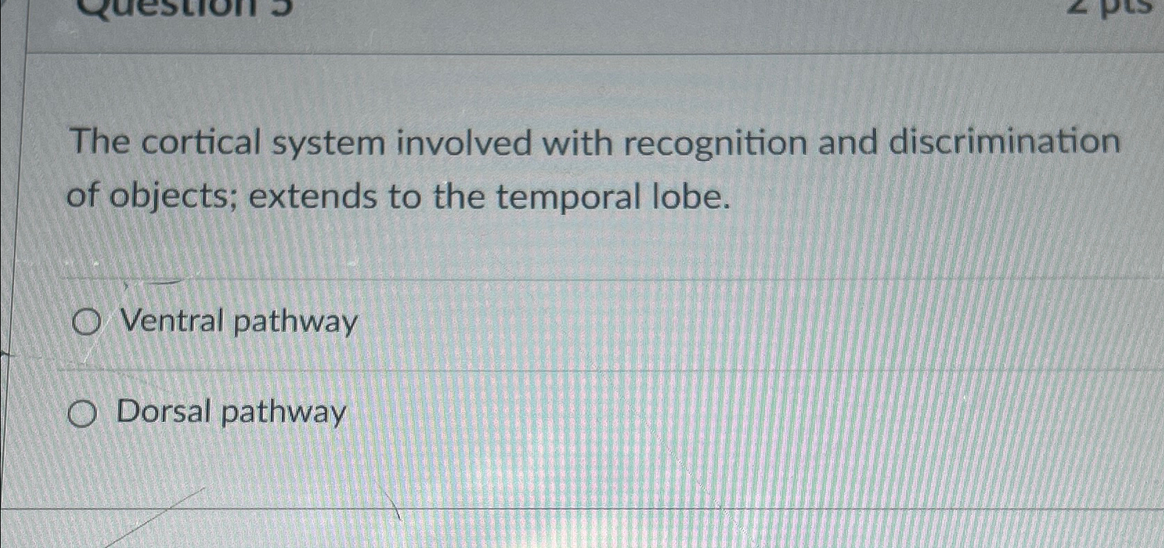 Solved The cortical system involved with recognition and | Chegg.com