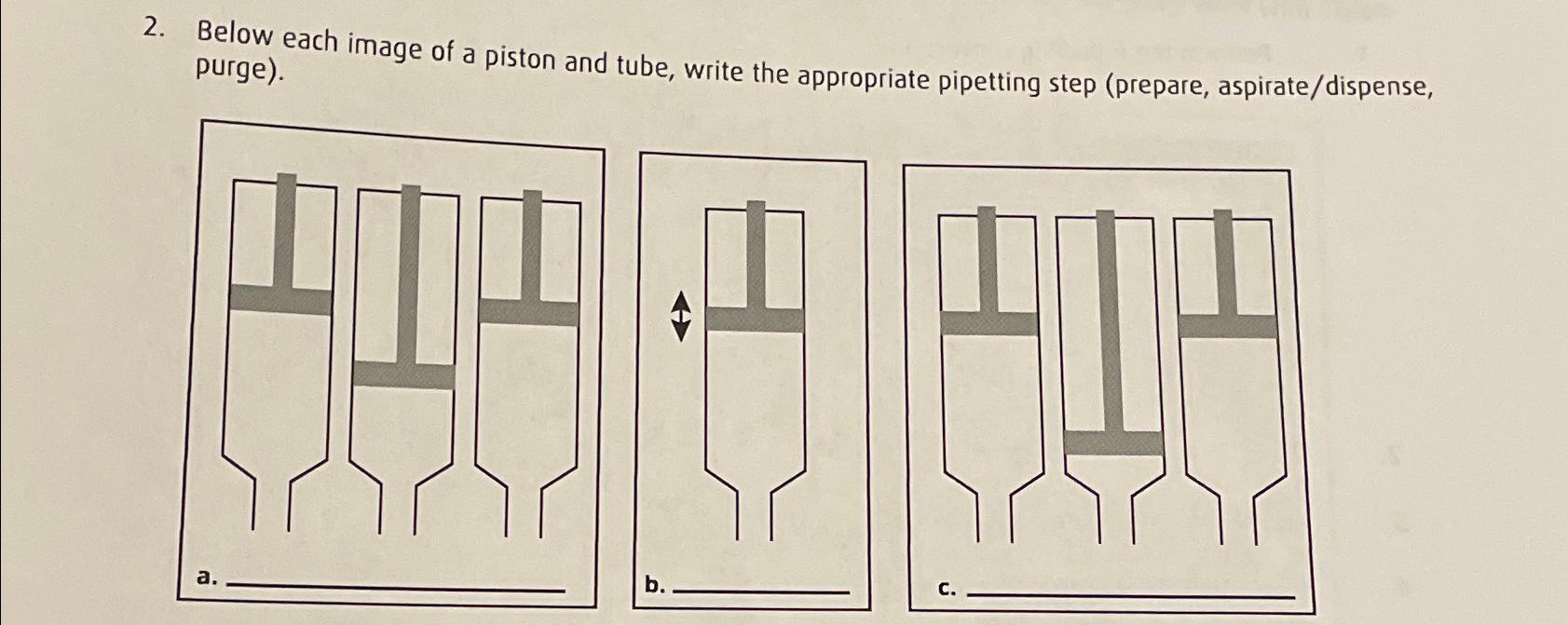 Solved Below each image of a piston and tube, write the | Chegg.com
