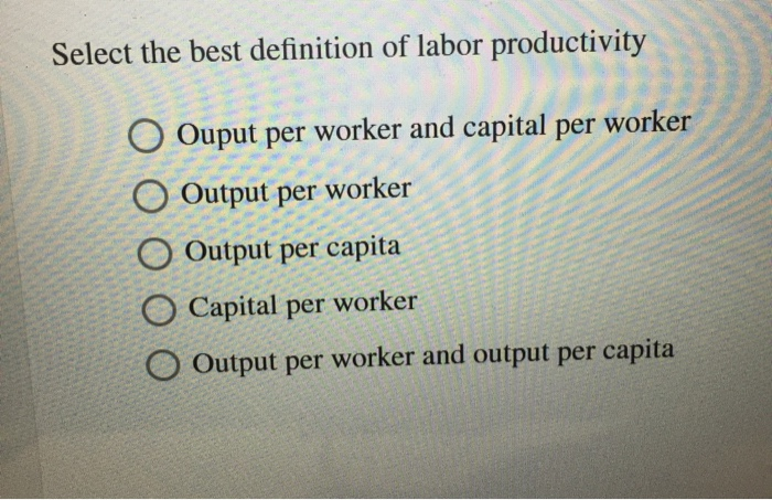 Solved Select the best definition of labor productivity O O | Chegg.com