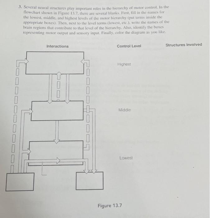 Solved 3. Several neural structures play important roles in | Chegg.com