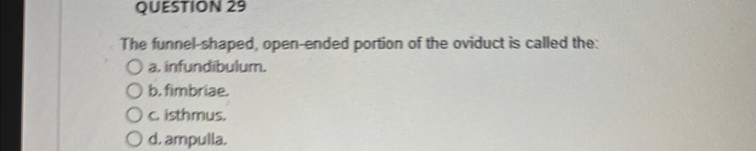 Solved QUESTION 29The funnel-shaped, open-ended portion of | Chegg.com