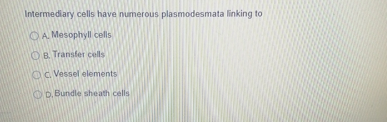 Solved Intermediary cells have numerous plasmodesmata | Chegg.com
