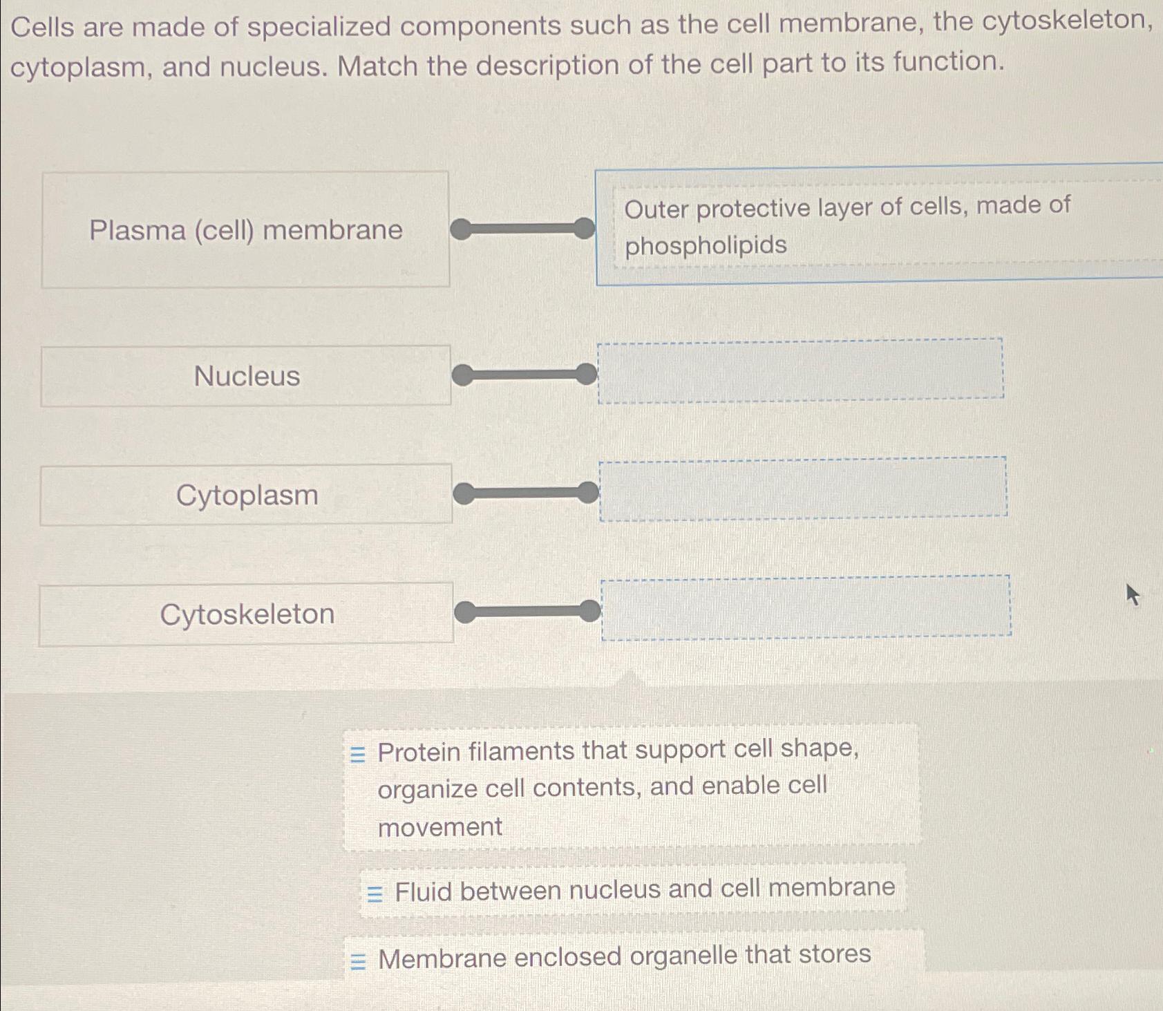 Solved Cells are made of specialized components such as the | Chegg.com