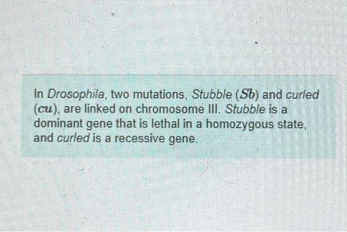 Solved In Drosophila, two mutations, Stubble (Sb) and curled | Chegg.com