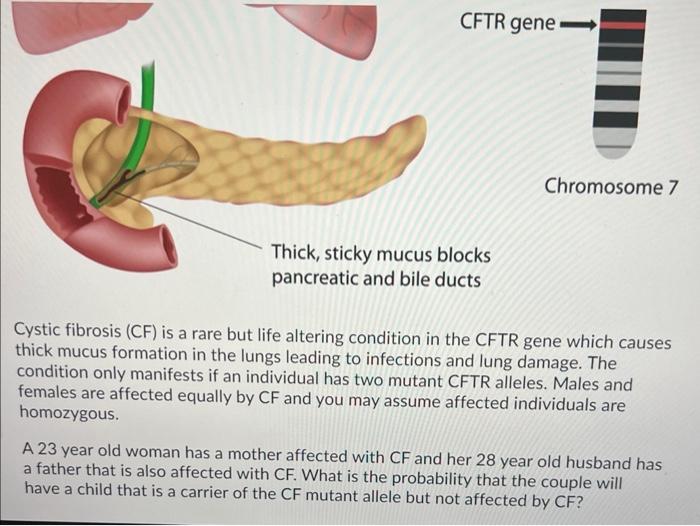 Solved Cystic Fibrosis Thick, sticky mucus blocks airway | Chegg.com