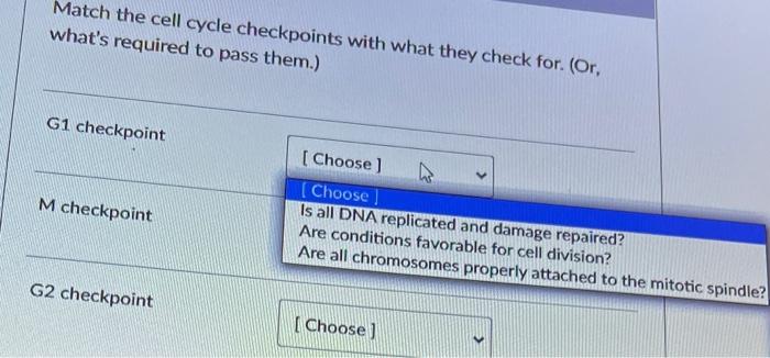 Solved Match the cell cycle checkpoints with what they check | Chegg.com