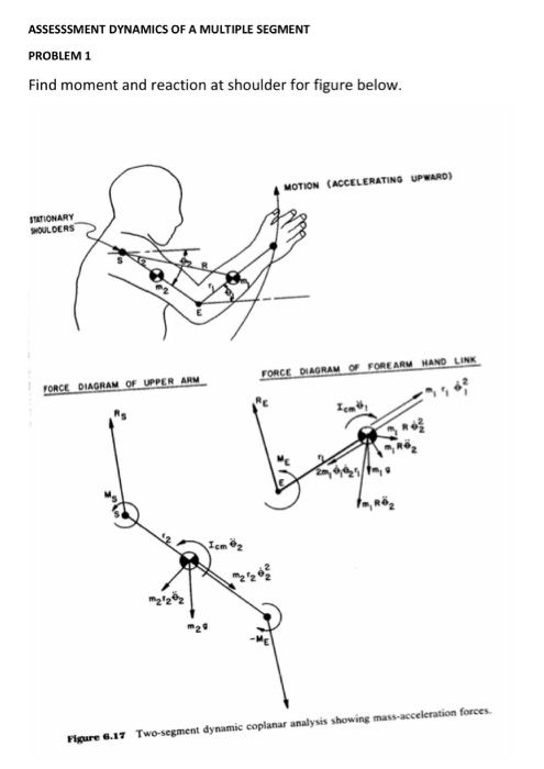 ASSESSSMENT DYNAMICS OF A MULTIPLE SEGMENT PROBLEM 1 | Chegg.com