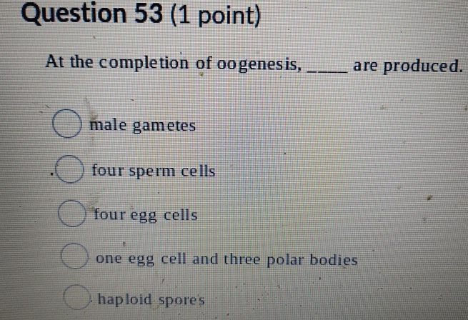 Solved Question 53 (1 point)At the completion of | Chegg.com Solved Question 53 (1 point)At the completion of | Chegg.com