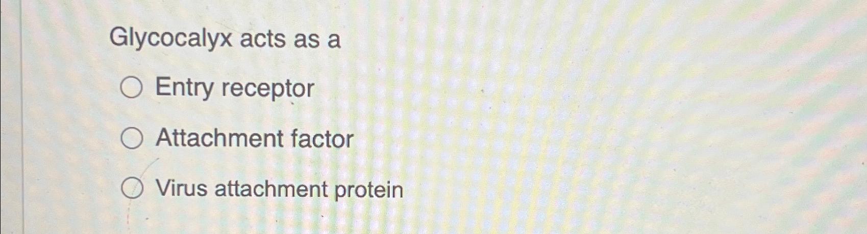 Solved Glycocalyx acts as aEntry receptorAttachment | Chegg.com