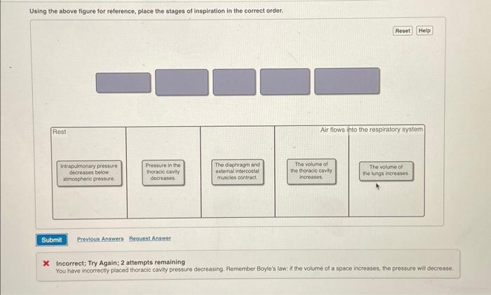 Solved Using the above figure for reference, place the | Chegg.com