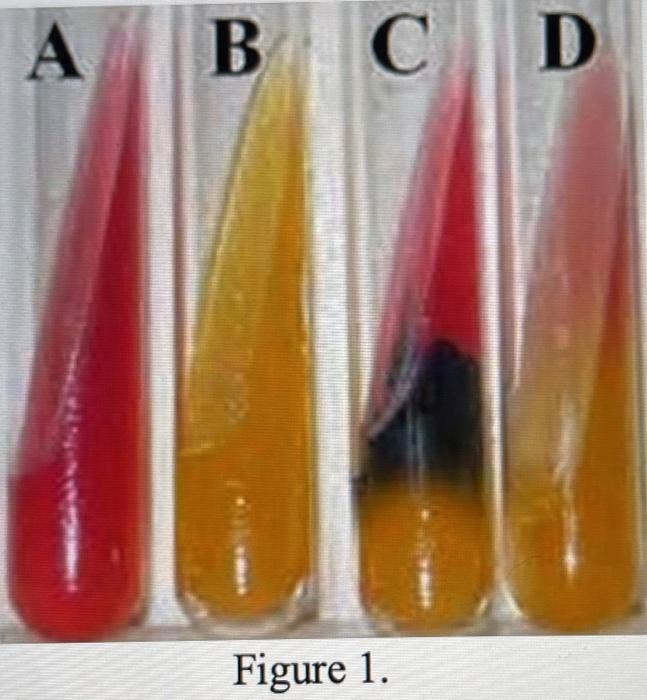 Solved Differential Media. Observe the three TSI slants in | Chegg.com