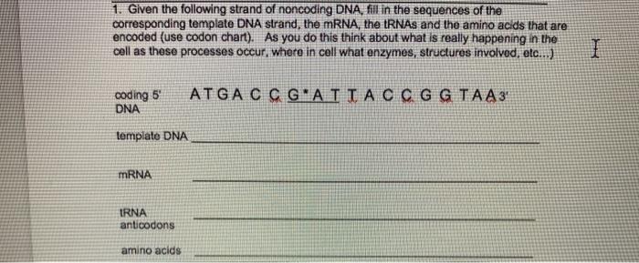 Solved 1. Given the following strand of noncoding DNA, fill | Chegg.com