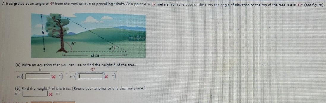 Solved A tree grows at an angle of 4 from the vertical due | Chegg.com