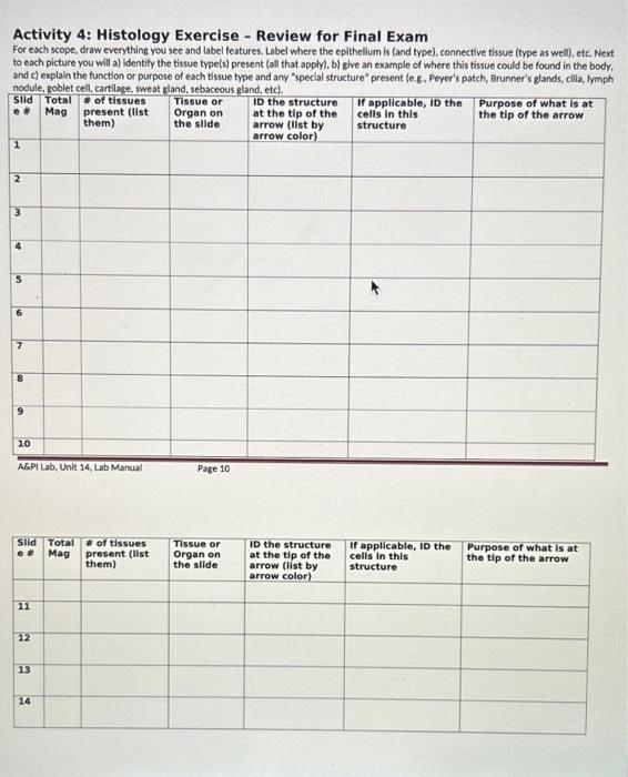 Activity 4: Histology Exercise - Review for Final | Chegg.com