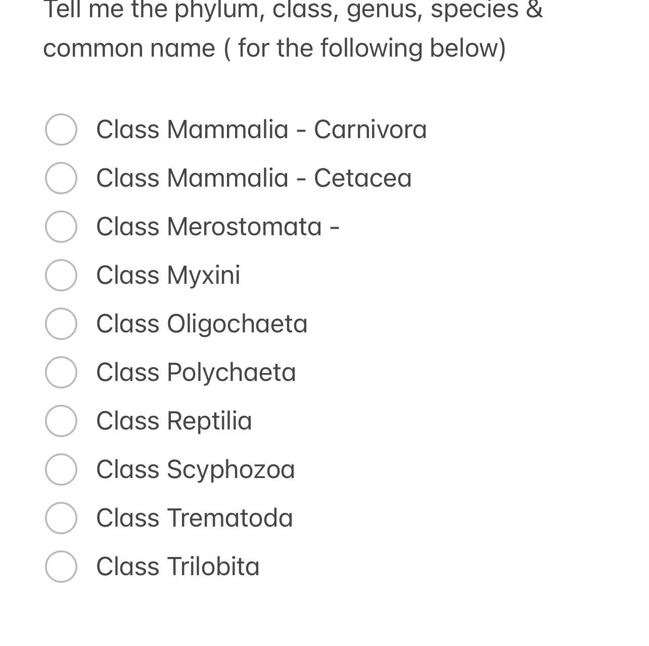 Solved Tell me the phylum, class, genus, species & common | Chegg.com