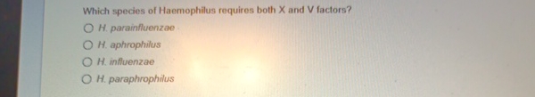 Solved Which species of Haemophilus requires both x ﻿and V | Chegg.com