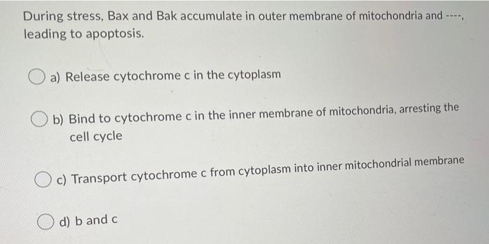 Solved During stress, Bax and Bak accumulate in outer | Chegg.com