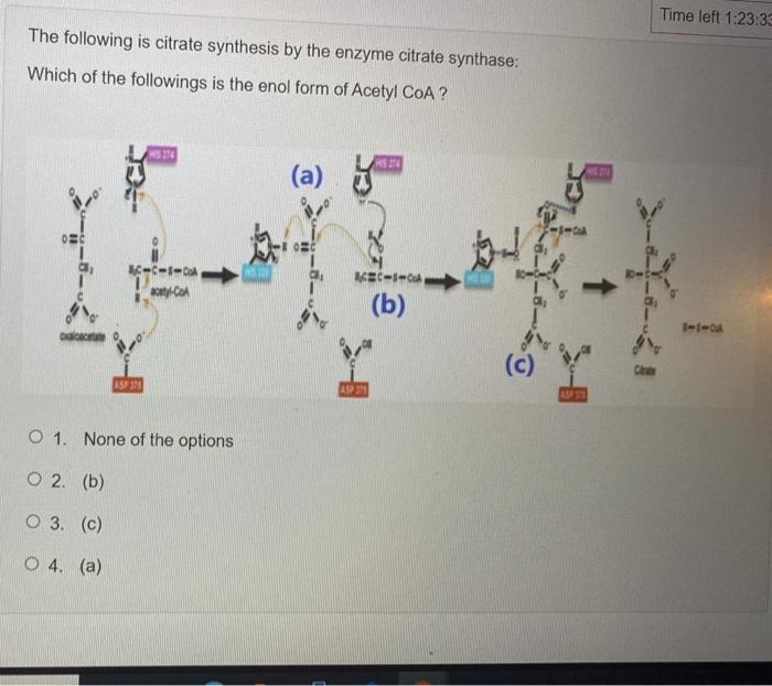 Solved Time left 1:23:33 The following is citrate synthesis | Chegg.com