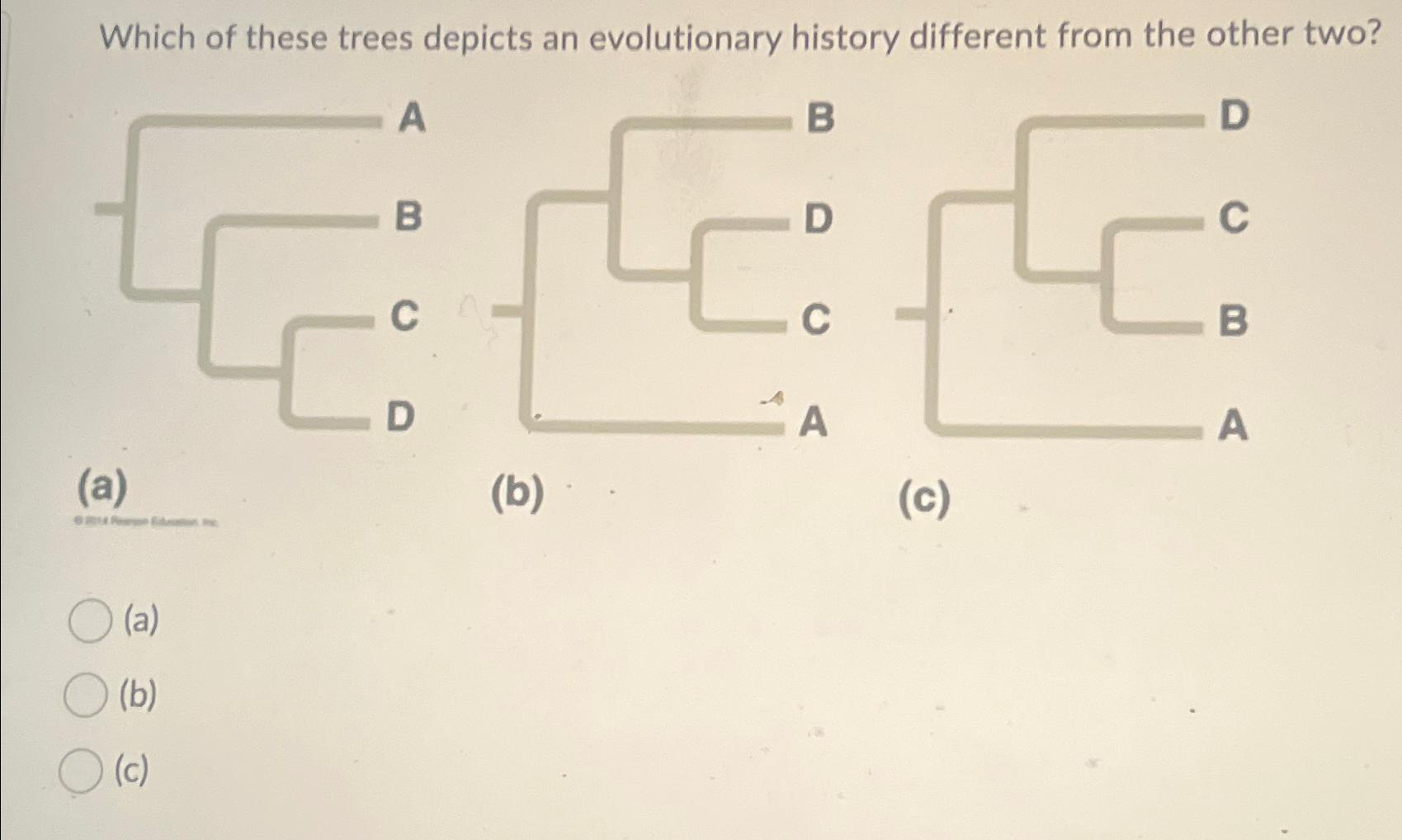 Solved Which of these trees depicts an evolutionary history | Chegg.com