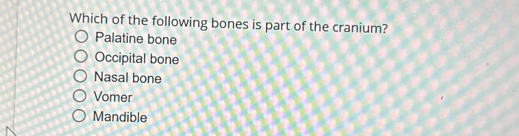 Solved Which of the following bones is part of the | Chegg.com