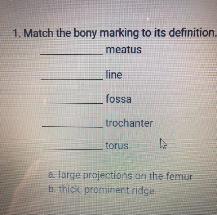 Solved 1. Match the bony marking to its definition meatus | Chegg.com