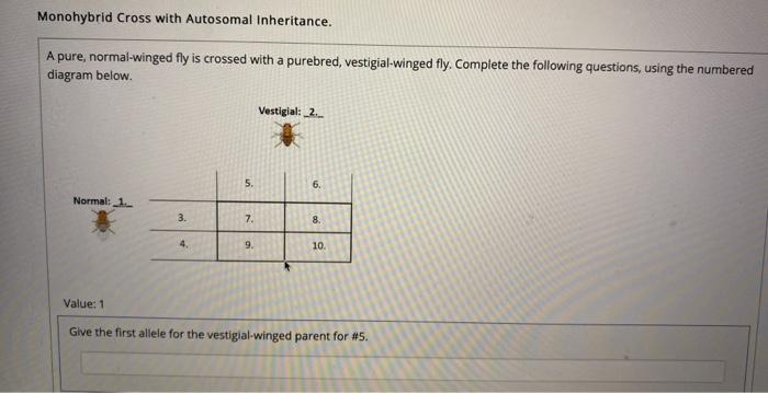Solved Monohybrid Cross with Autosomal Inheritance. A pure, | Chegg.com