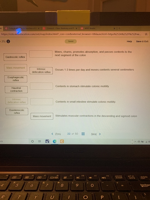 Solved C Scho the anchon oft Connect - Anatomy and PX MM | Chegg.com