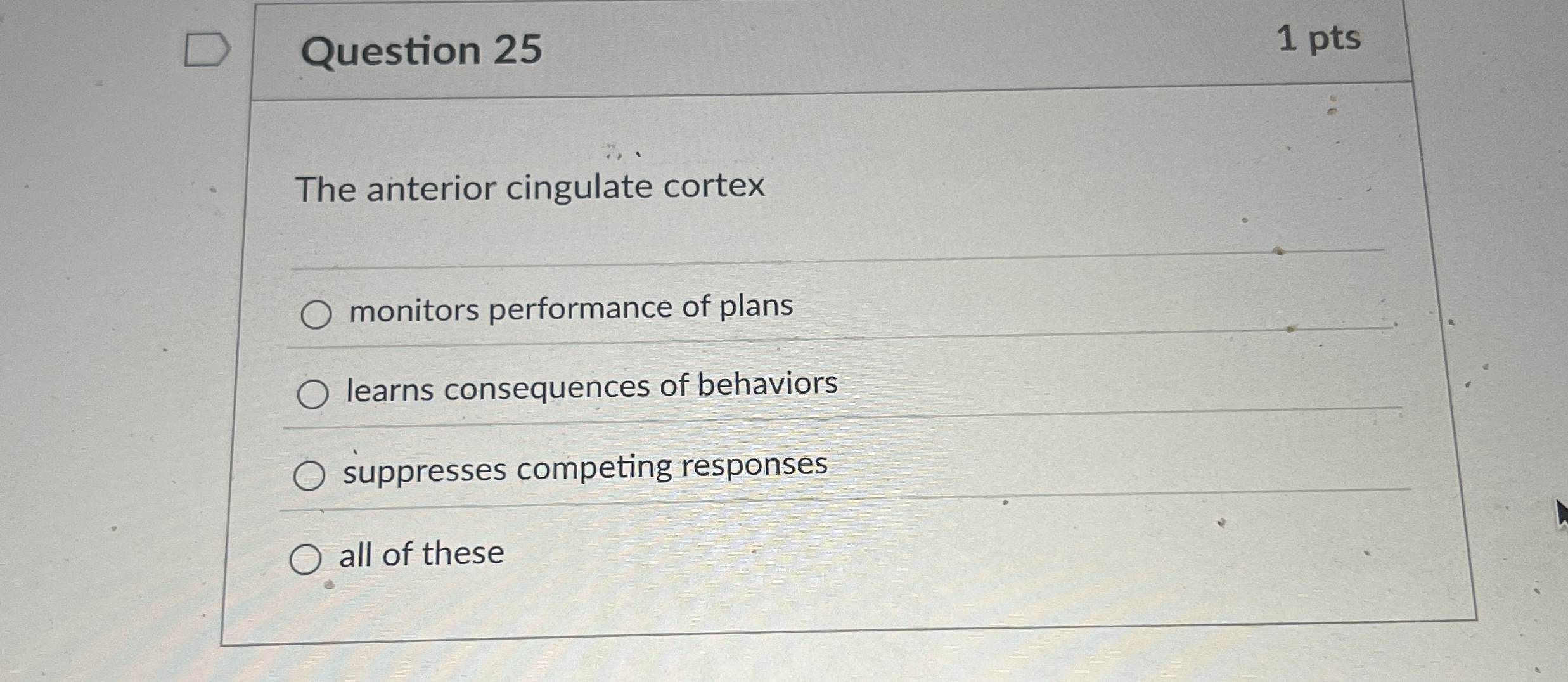 Solved Question 251 ﻿ptsThe anterior cingulate | Chegg.com