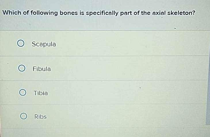 Solved Which of following bones is specifically part of the | Chegg.com